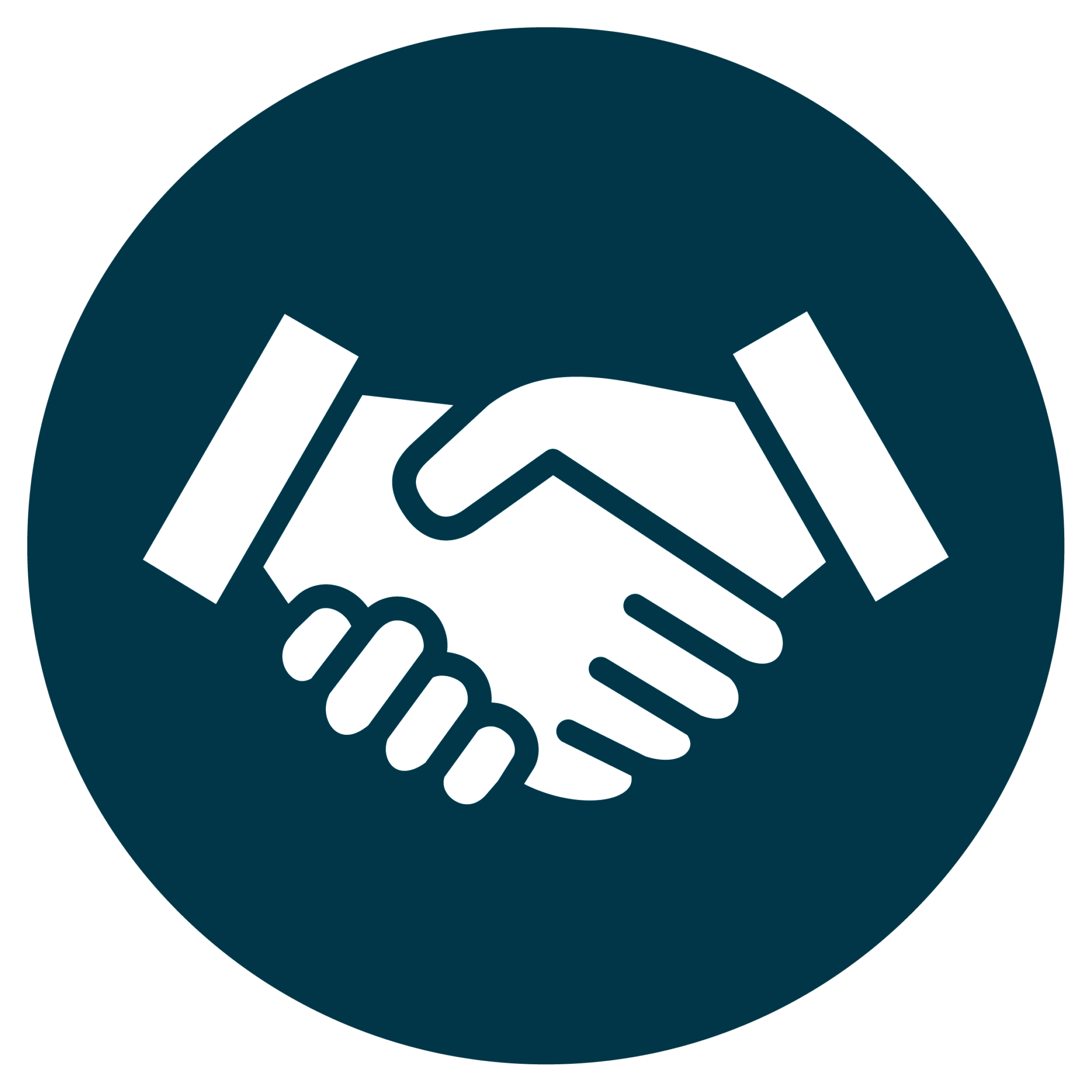Startseite | finalix business consulting